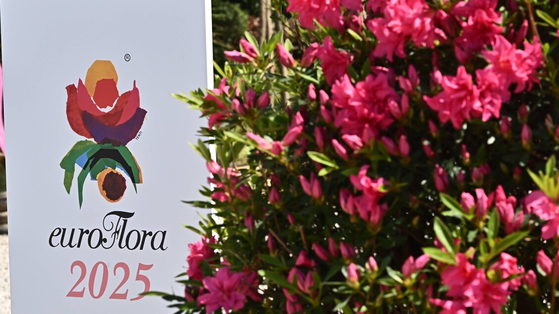 Euroflora 2025 a genova: la fiera internazionale che celebra il ...