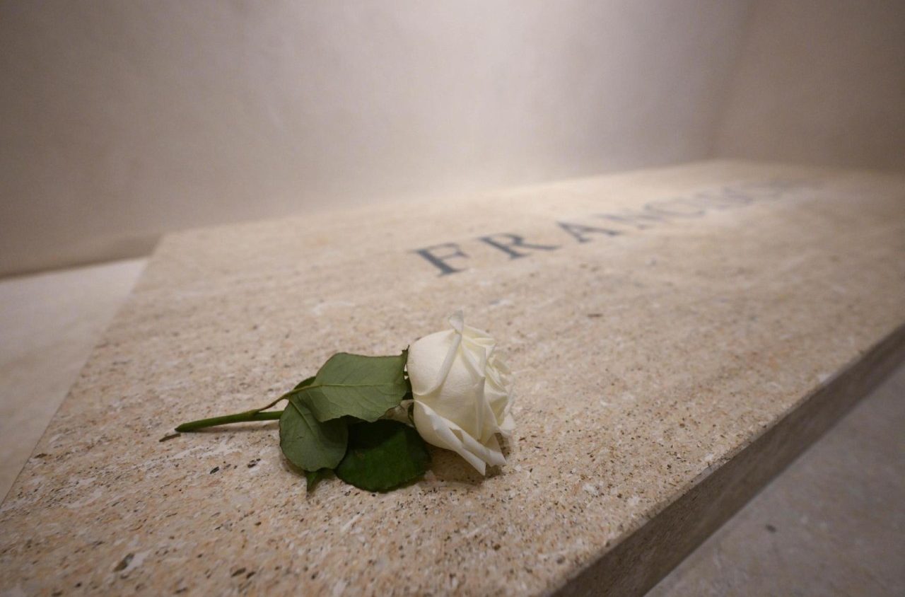 Una rosa bianca di santa teresina accompagna la memoria di papa ...