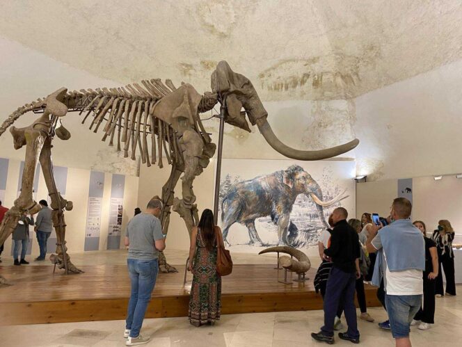 Ingressi gratuiti nei musei dell’aquila per il 2 giugno e altre date ...