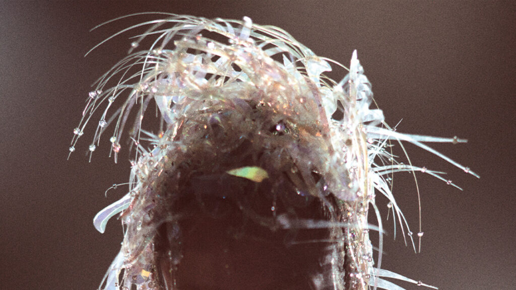 Miley cyrus pubblica something beautiful, nuovo album e visual film con ...