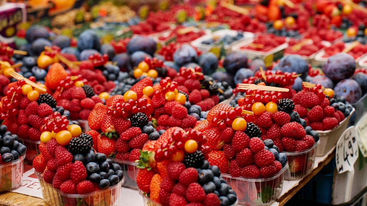 Palio del velluto a leonessa: tre giorni di rievocazioni storiche e ...