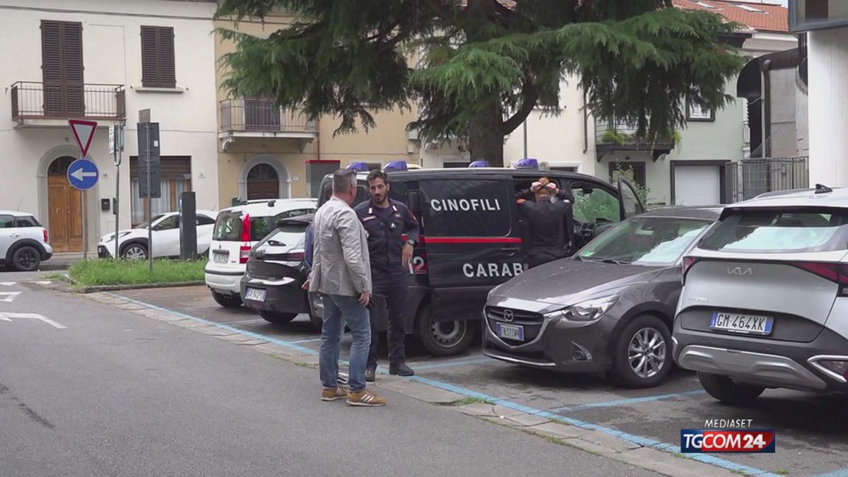 Uomo di 32 anni confessa l’omicidio di Ana Maria Andrei dopo scomparsa ...